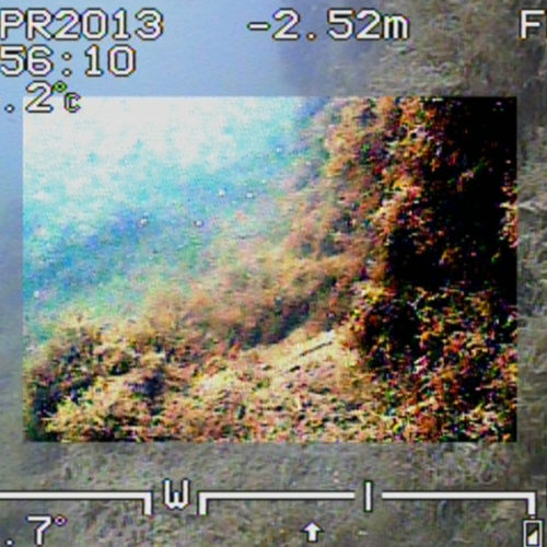 Subsea Tech | Mini-ROV Observer