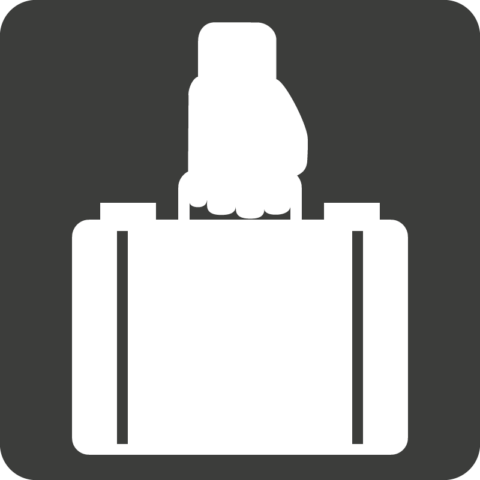 Subsea Tech | Mini-ROV Guardian